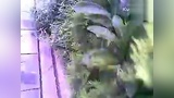 灵异事件_长沙开福寺灵异事件(真实)