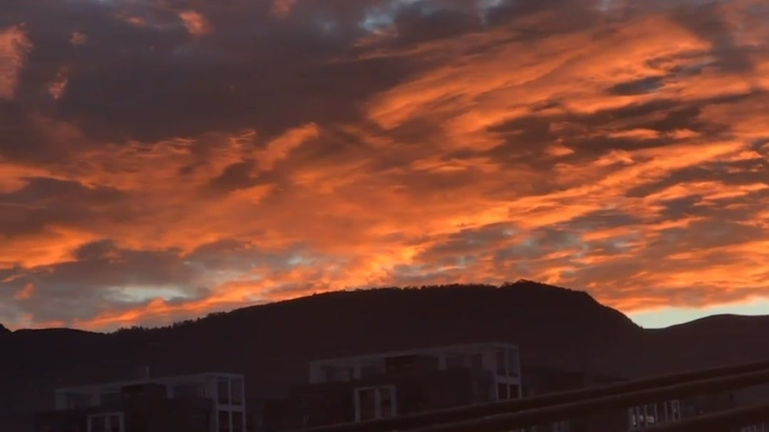 Ps+Ai双专业!设计师的第一门必修课【课源:601300972】分享