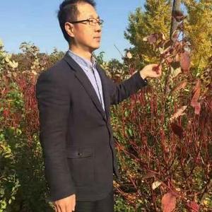 园林景观建筑考研手绘 