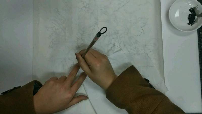 初学工笔画:工笔小强和你一起绘制四君子菊(第一步白描勾线)