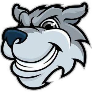 爱吃青菜的黄老狗 