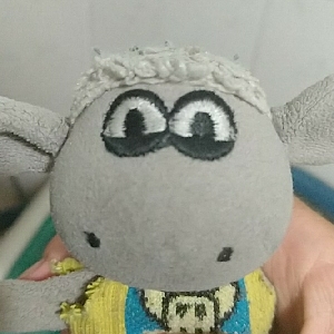 八斤小小羊咩咩 