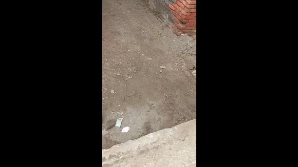 户户通政策好大家都过来看看我们村怎么通的!