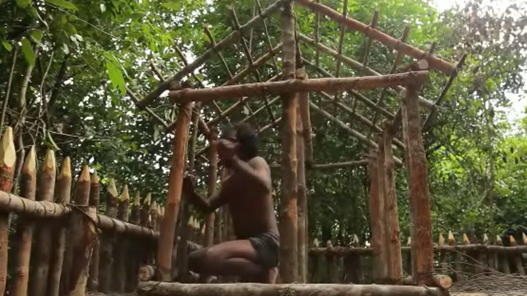 森林人生活深林中,用木头盖出美丽房子,太聪明了