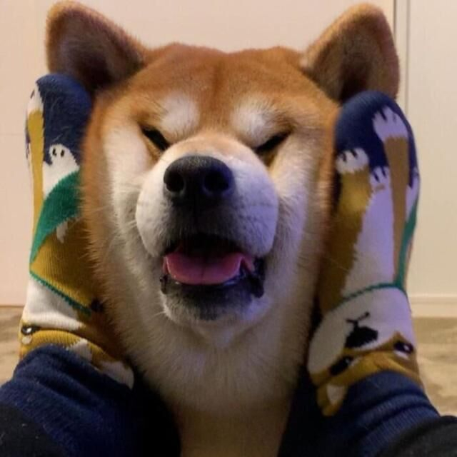 爱can福来 
