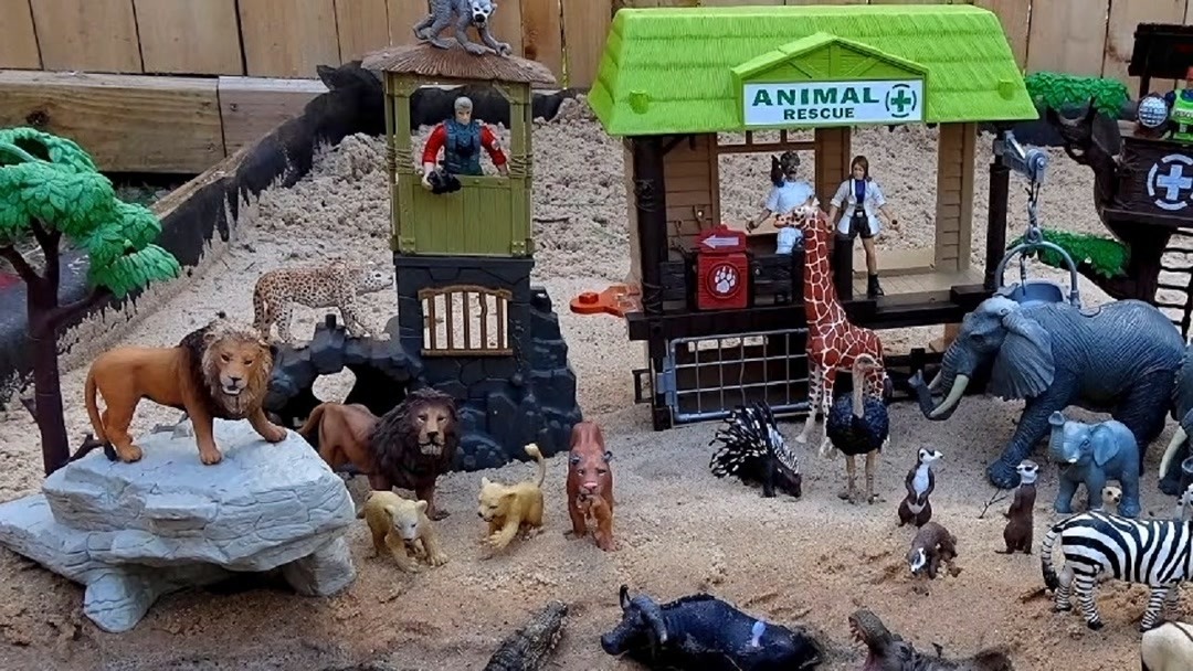 到森林保护区观察小动物的生活状态