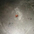 爱游泳的段干奕奕 