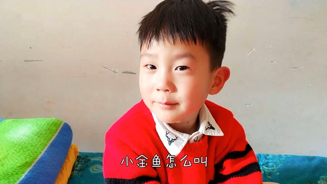 4岁的羊羊模拟动物叫声,猫狗猪牛都很像,轮到小虫子叫他不行了