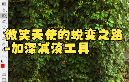 【ps教程】冷知识系列3-你一直用错的加深和减淡工具!