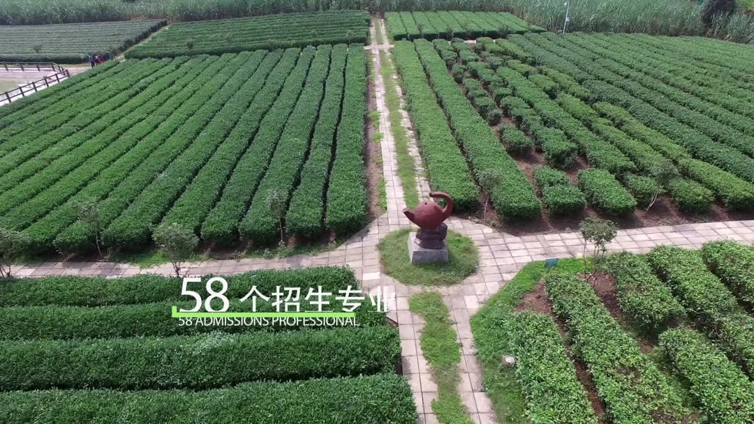 广西职业技术学院宣传片《梦工厂》