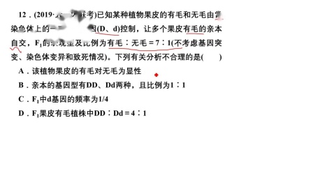 基因分离定律习题讲解