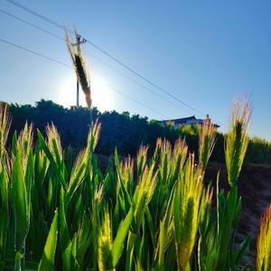 云南嘉远外贸供货商 