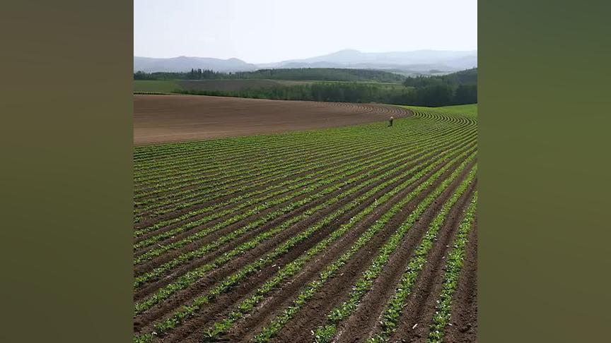 #土壤 #物联网 #智慧农业 土壤水分传感器