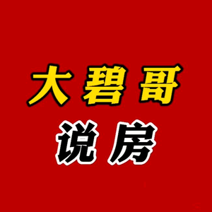 大碧哥说房 