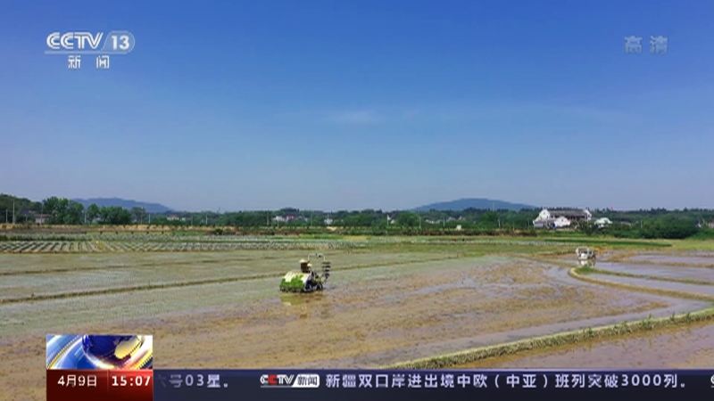 [新闻直播间]新修订《粮食流通管理条例》本月起施行