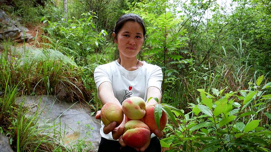 农村美女去山上摘桃子,又大又甜,站地上就能摘,太诱人了