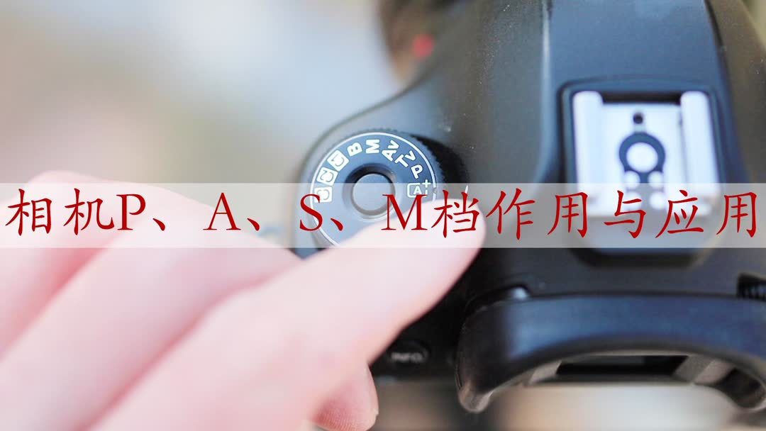 P、Av、Tv、M档位全解,3分钟让你掌握,学会轻松成为摄影师