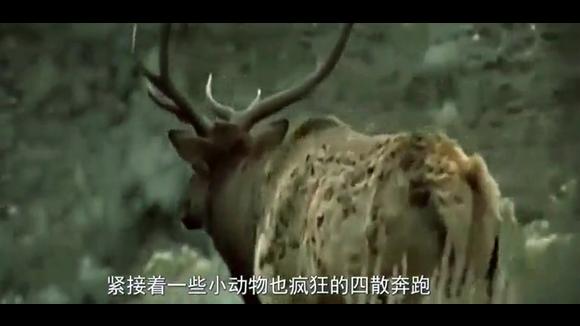 关于当年发生在安徽的巨蟒渡劫事件,你知道多少?