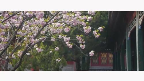 启明星携手清华大学 《数字经济背景下,资本市场发展新格局》