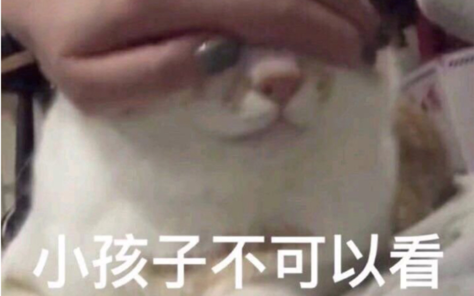 爬梯一晚,会兑换出什么随机SSR/SP?(缘结神活动)