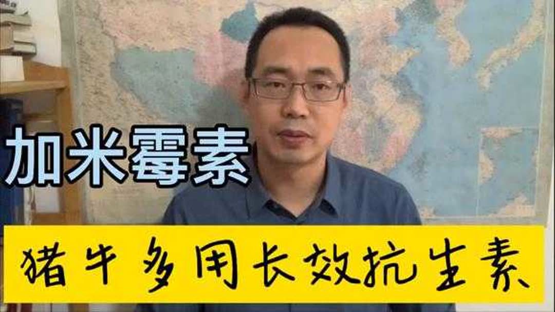 加米霉素打一针管五天,猪牛养殖常用长效抗生素,呼吸道疾病高效