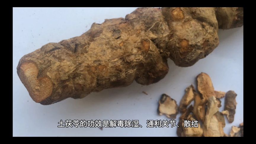 你不知道的土伏苓的功效与作用