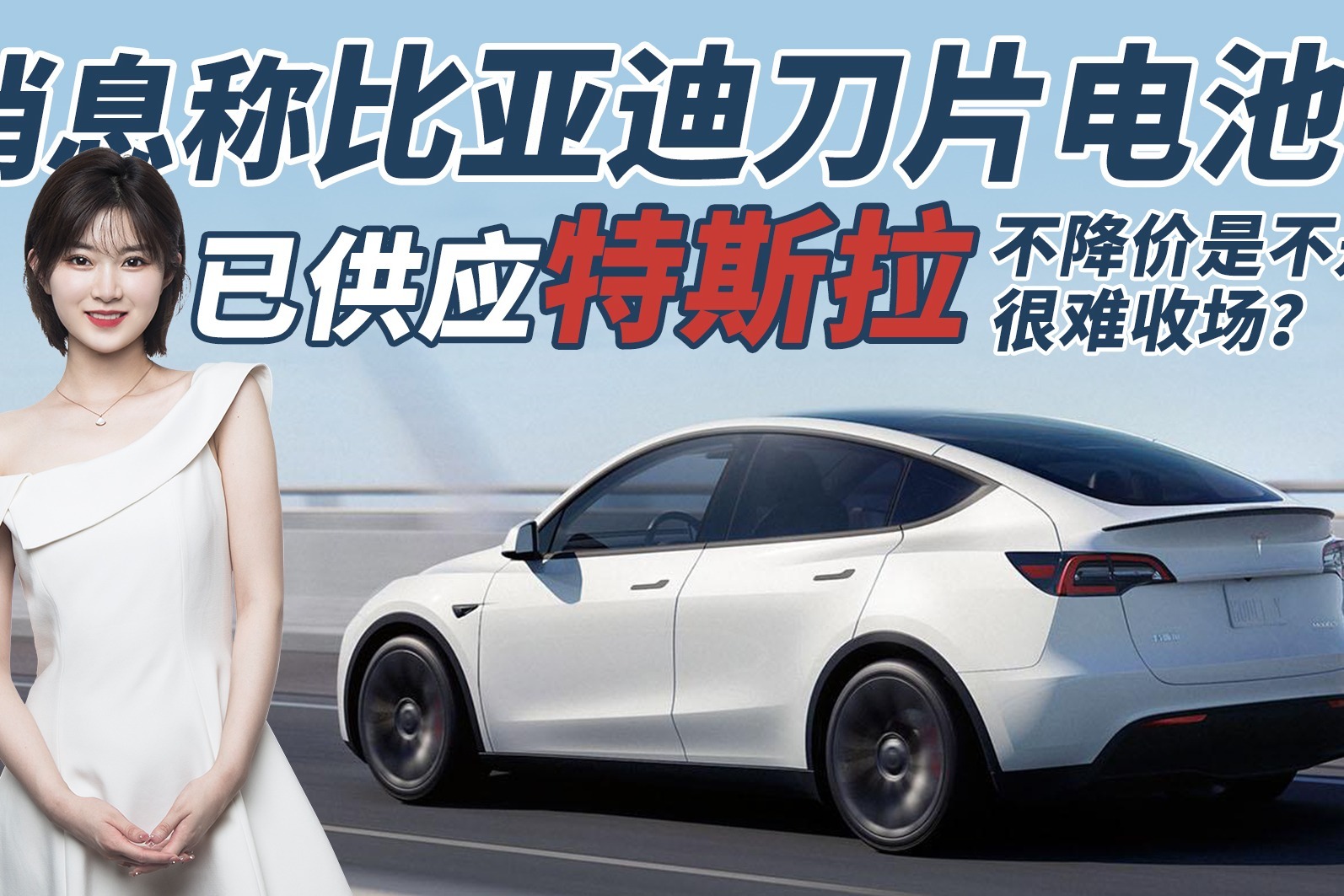 化敌为友?特斯拉将使用比亚迪刀片电池,Model Y不降价很难收场?