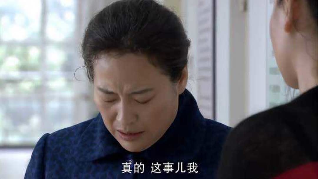 离婚协议:婆婆醒悟,儿子快40岁才娶到的媳妇,应该捧在手心