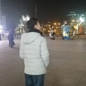 龙虎圈艺 