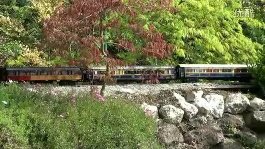 前进蒸汽机车模型