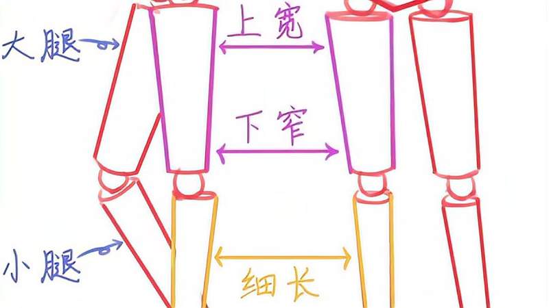 动漫插画零基础教程