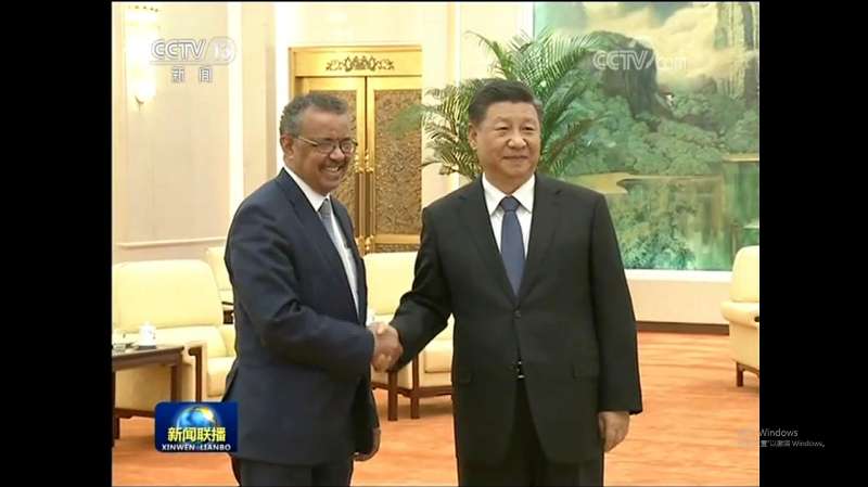 独家视频|习近平会见世界卫生组织总干事