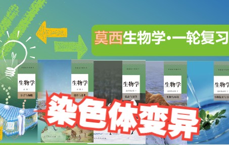 【高中生物一轮复习】7.2-5染色体变异 课时精练2 习题新高考生物...