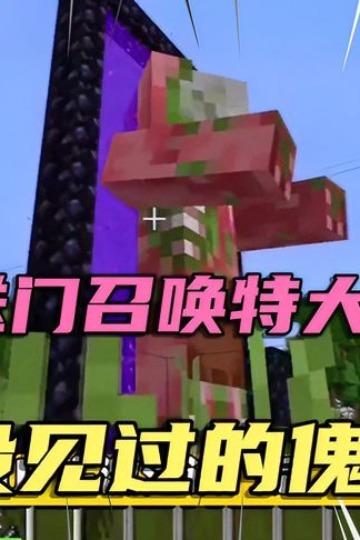 我的世界:MC的传送门到底有多大?竟然还有傀儡传送门