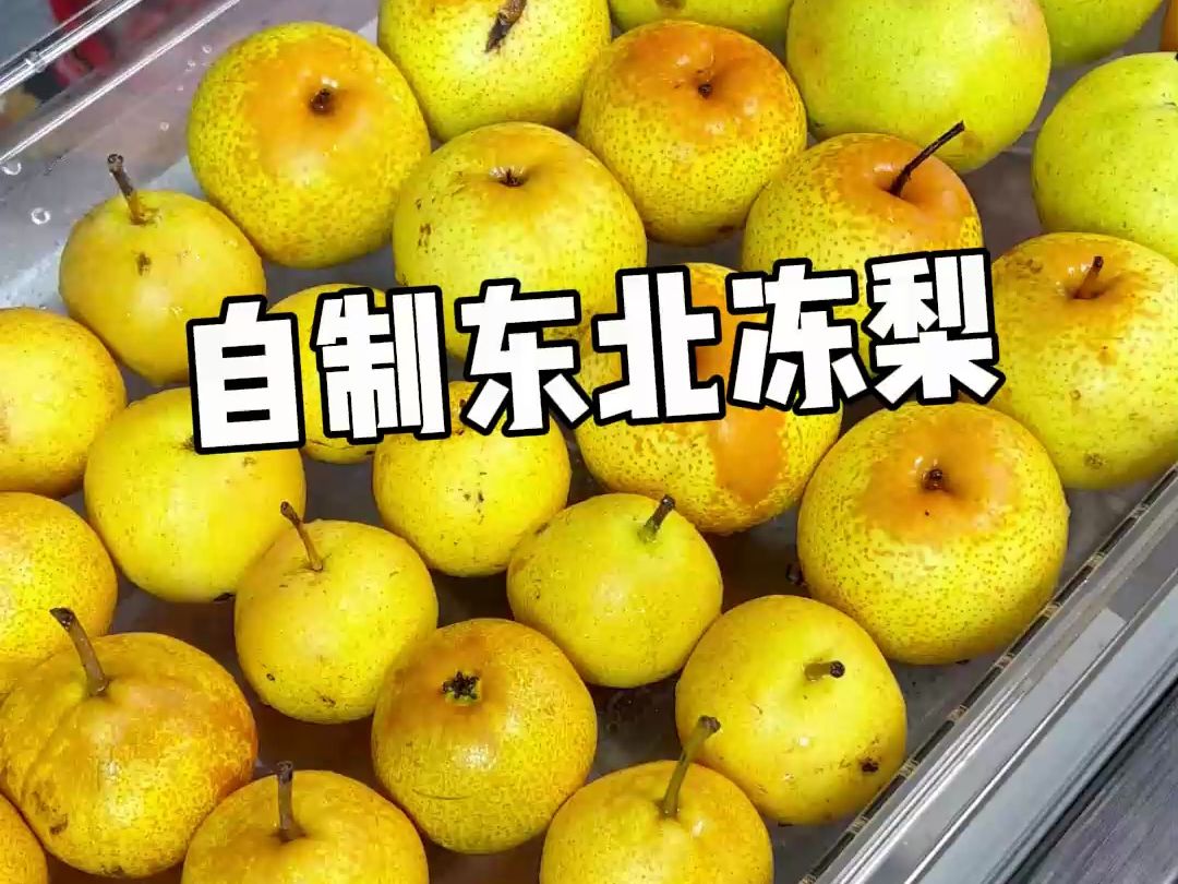东北冻梨到底啥味!老嘟子冻了一冰箱试试到底多好吃!