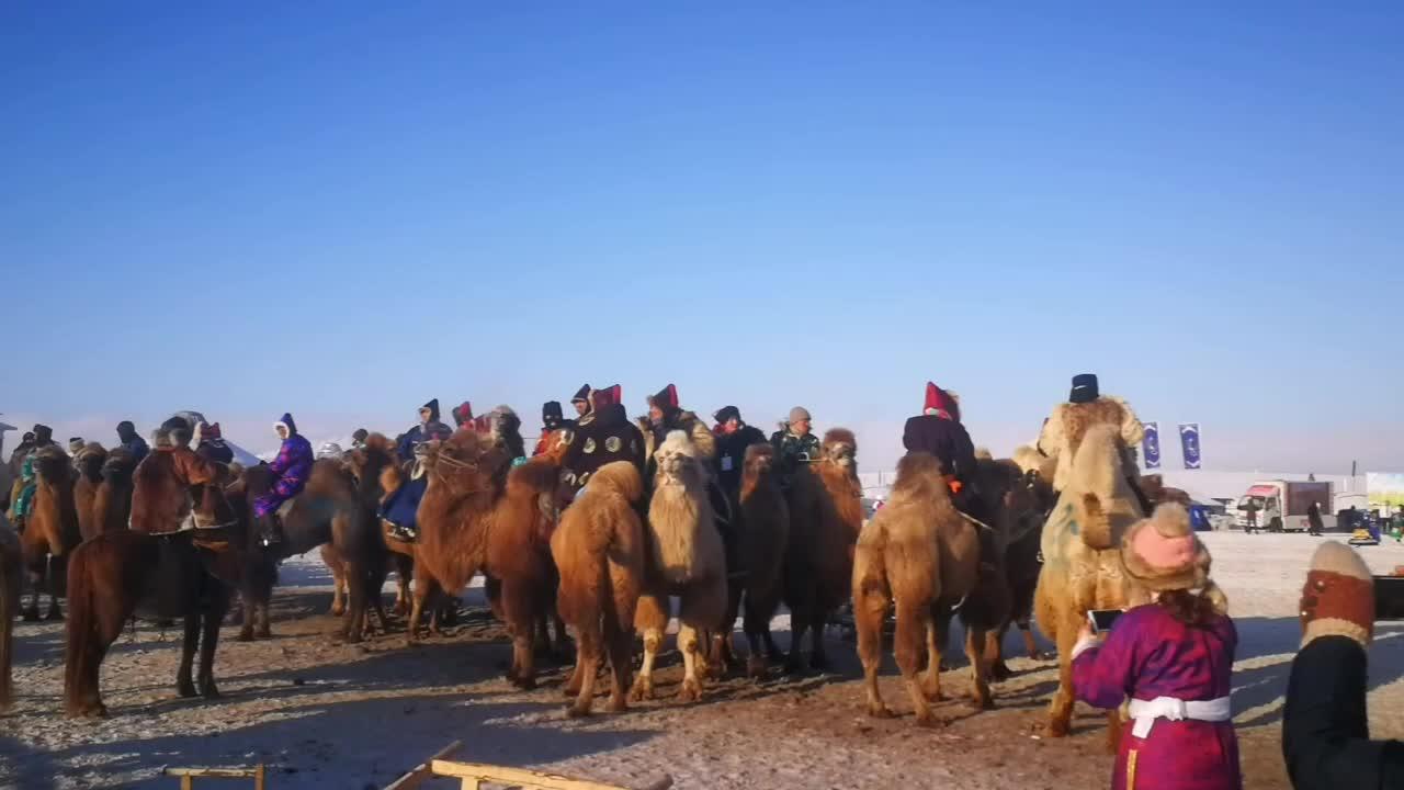 那达慕,蒙古族盛会