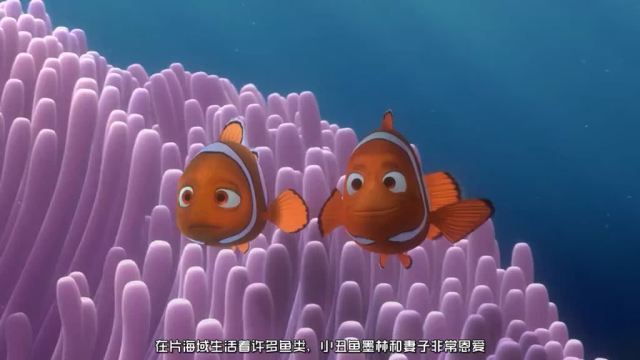 《海底总动员》:一条勇敢的小丑鱼为了救回孩子,到处冒险成为大海的...