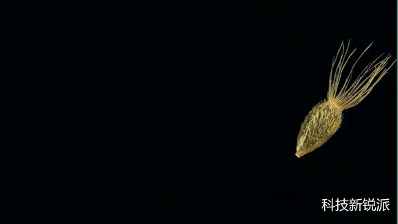 中国目前最大全球第二大的种质资源库!倘若地球植物毁灭就靠它了