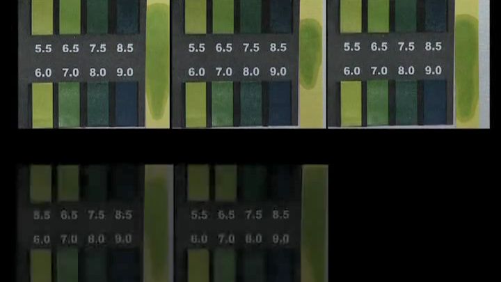 生物体维持PH值稳定的机制(上) #好奇科学 #生物实验