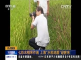 [午夜新闻]七彩水稻来作画 上海“水稻地图”迎客来