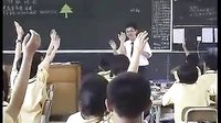 轴对称 教学视频_初中数学广东名师课堂教学展示