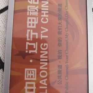 新视角大伟F1 