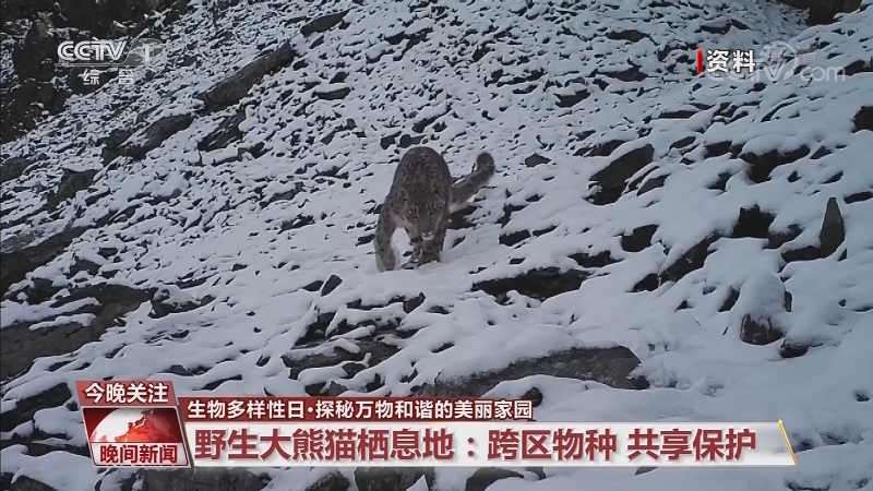 [视频]生物多样性日·探秘万物和谐的美丽家园