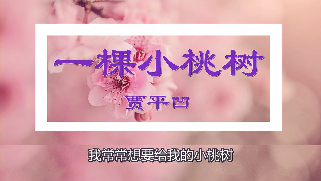 一棵小桃树|贾平凹