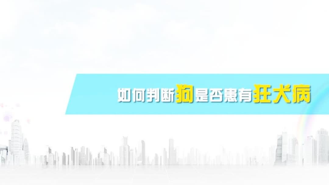 怎样才能知道狗是否患有狂犬病?有没有典型的症状表现?