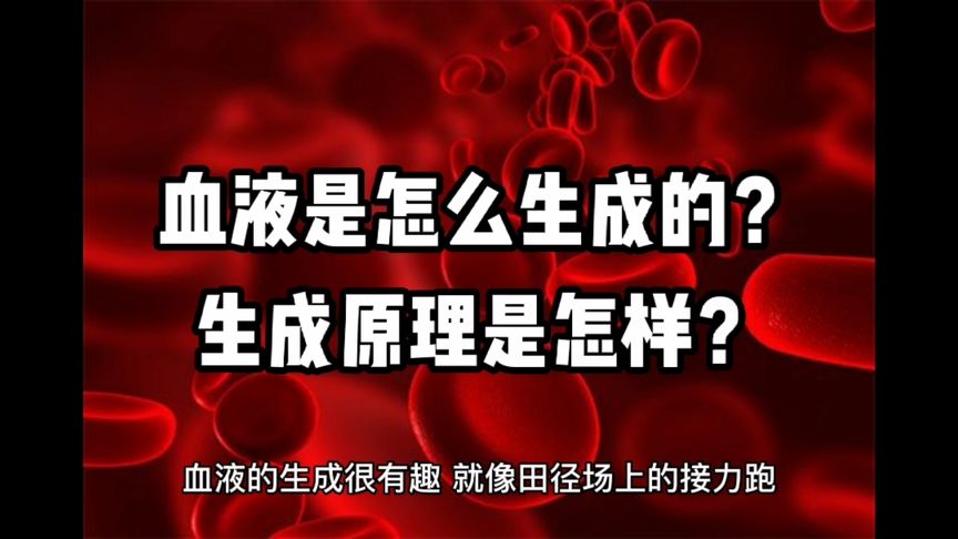 血液是怎么生成的?从胚胎形成到出生造血器官生血机理是如何?