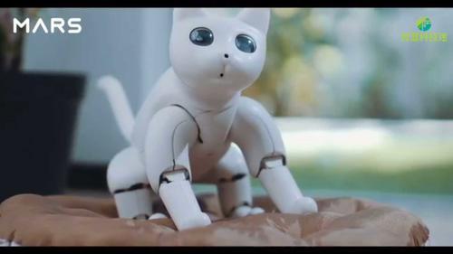 【每日创新发明】4款设计奇妙的仿生机器人