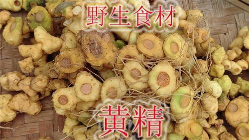 俗话"北有人参,南有黄精",食用有3种方法,大家了解几何呢?