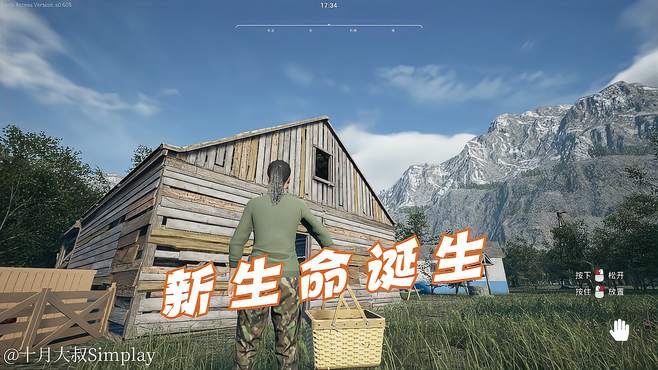 牧场模拟器-第4集:第一只小鸡孵出,同时我也给自己建个窝