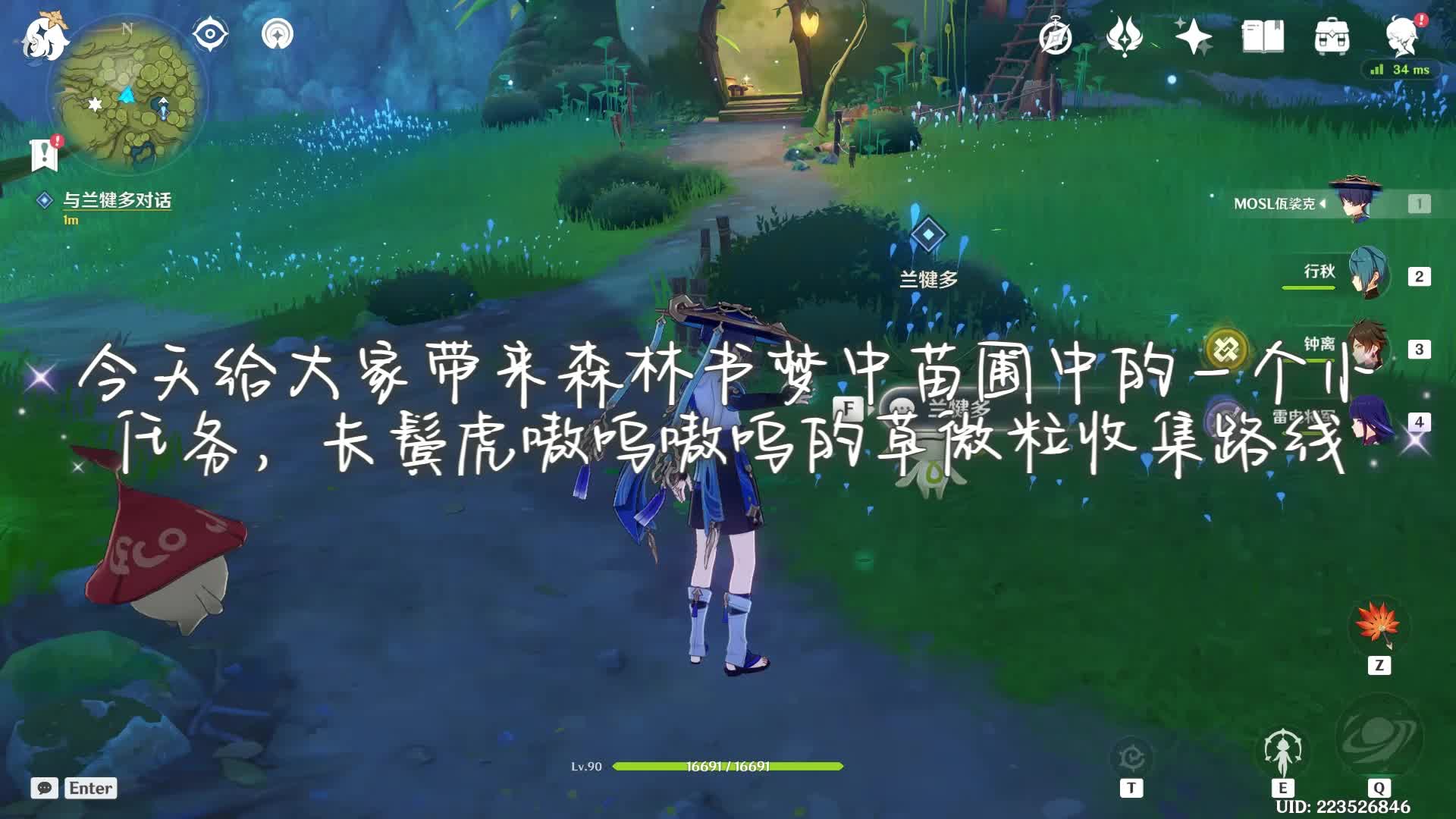 原神森林书梦中苗圃,长鬓虎,嗷呜嗷呜,草微粒搜集领跑